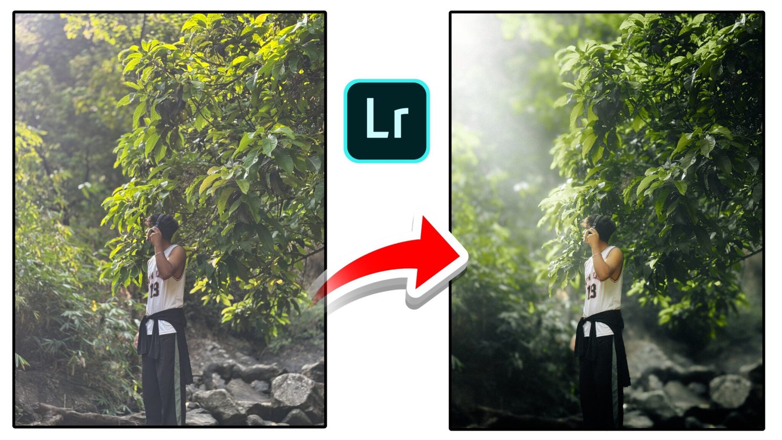 Adobe Photo Editing Software: The Complete Guide to Features, Tools ...